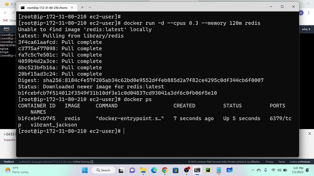 Docker Allocate custom CPU and Memory