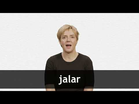 English Translation of “JALAR” | Collins Spanish-English Dictionary