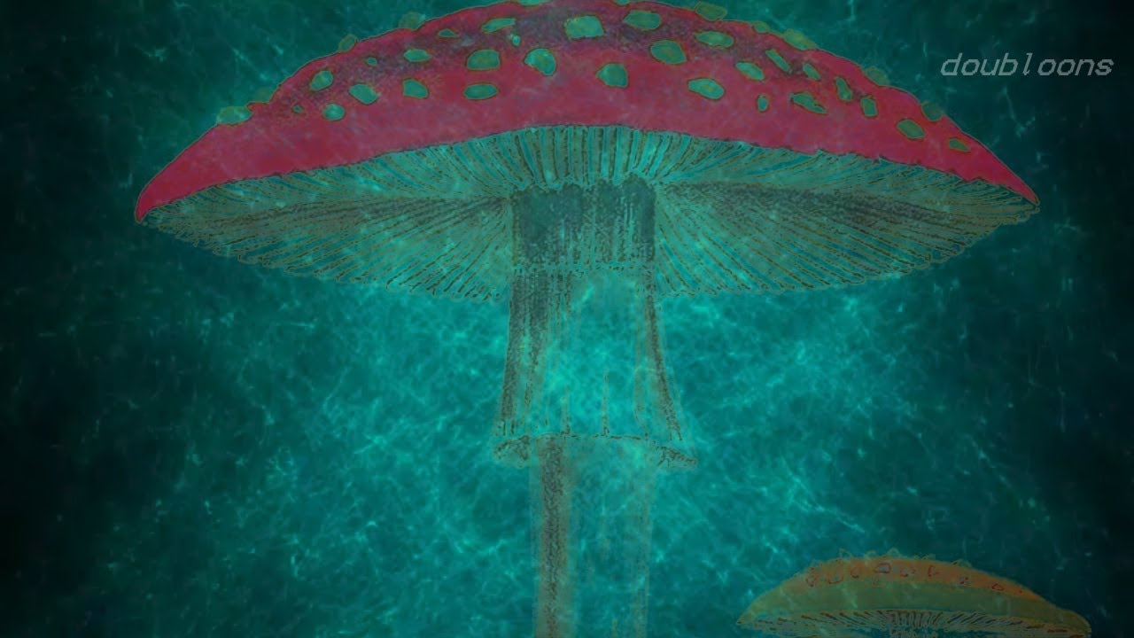 deep shroomjak lore