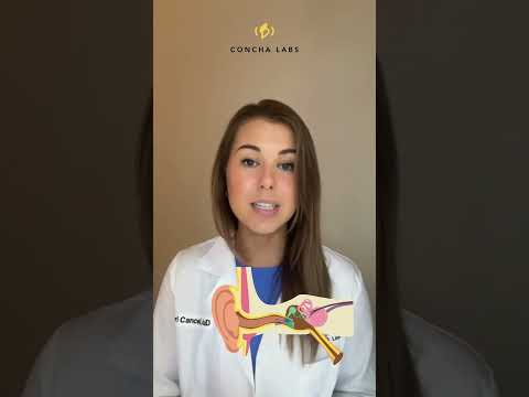 How Hearing Works Pt. 2