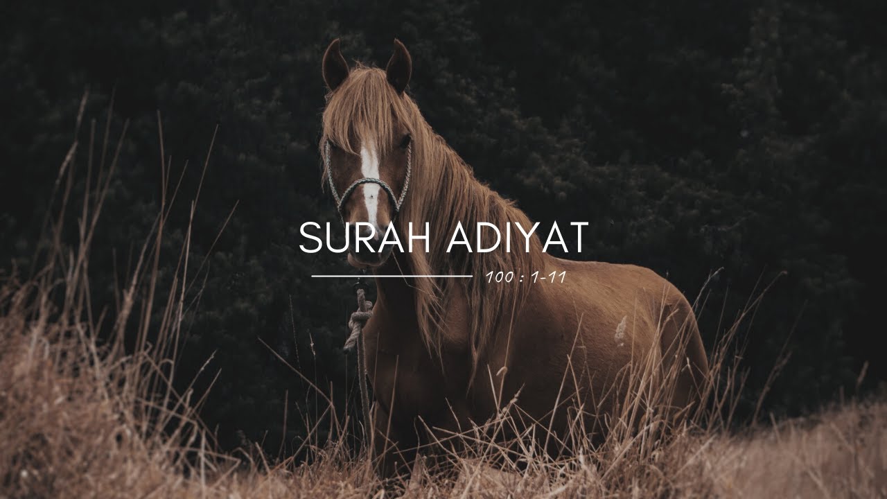Surah Adiyat 100 1 11 Abdul Rehman Masood
