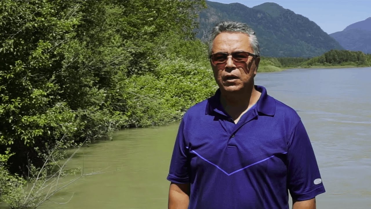 BC First Nations leaders on the critical importance of wild Pacific salmon | Wild First