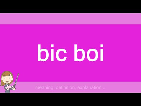bic boi
