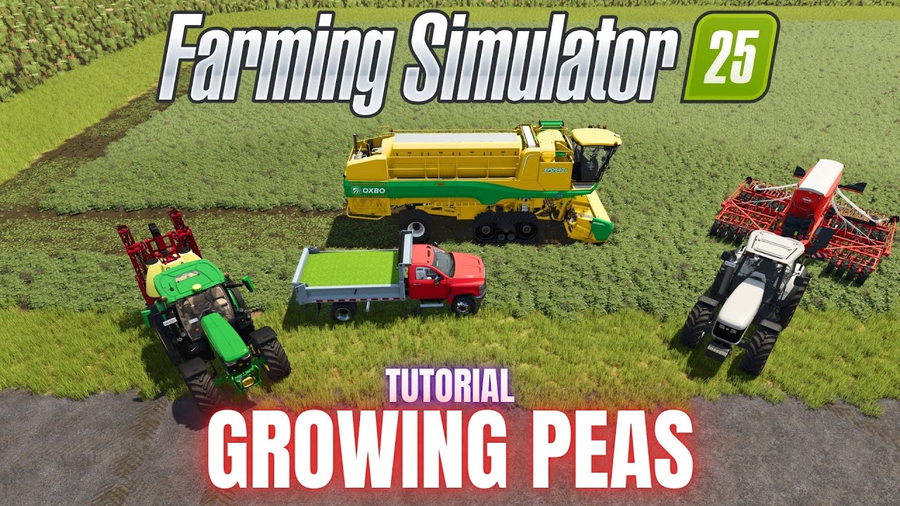 How to Grow Peas in Farming Simulator 25 1 - FS25