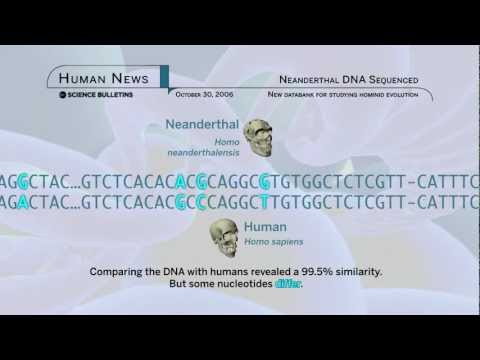Science Bulletins: Neanderthal DNA Sequenced