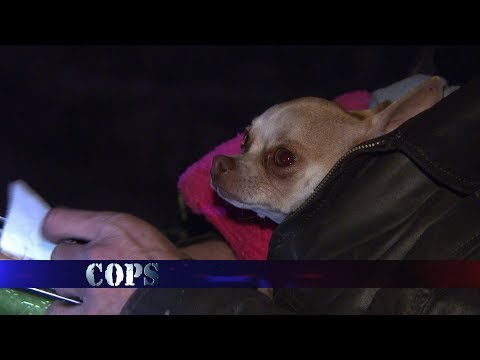 Second Opinion, Sergeant David Boruchowitz, COPS TV Show