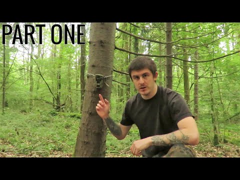 Big Cats In The UK? Part 1 (Set Up)