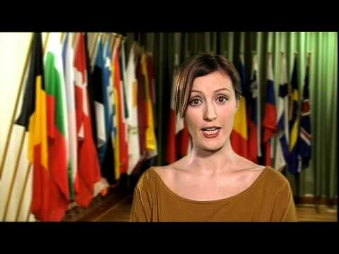 EU European Social Charter - a definition