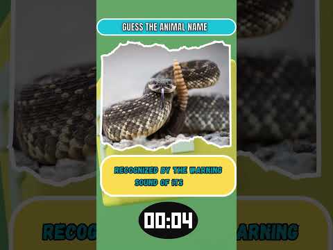 Guess Your Animal CHALLENGE!