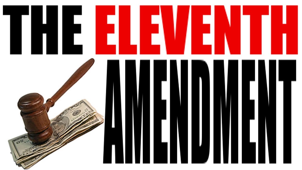 The Eleventh Amendment Explained in 3 Minutes: The Constitution for Dummies Series