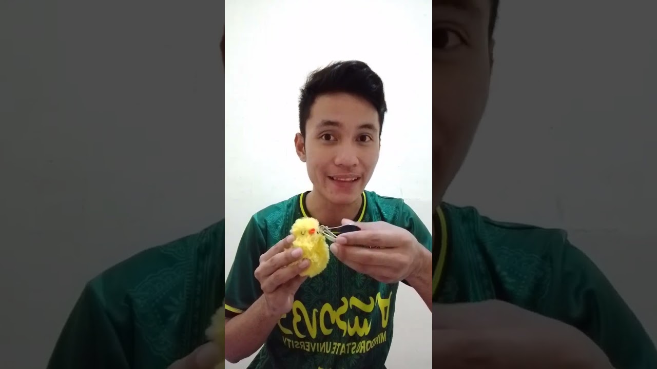 INSTRUCTIONAL VIDEO ( ANIMAL PRODUCTION POULTRY-CHICKEN) NC II - TRIM BEAK