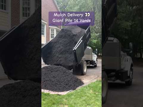 Mulch Delivery HUGE Pile Full DumpTruck 14 Yards Black Dyed Mulch Baltimore MD #junkngrind #mulch