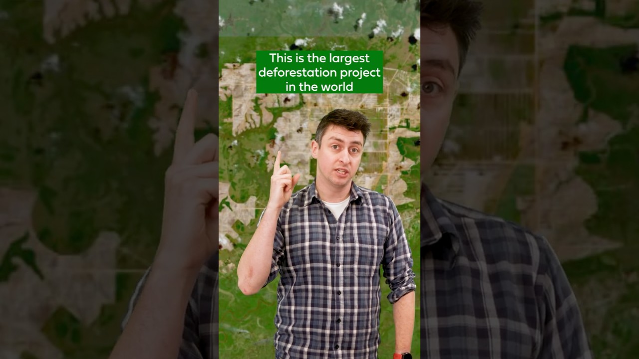 This is the largest deforestation project in the world