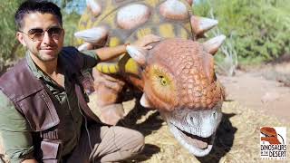 Dinosaurs in the Desert Guided Tour