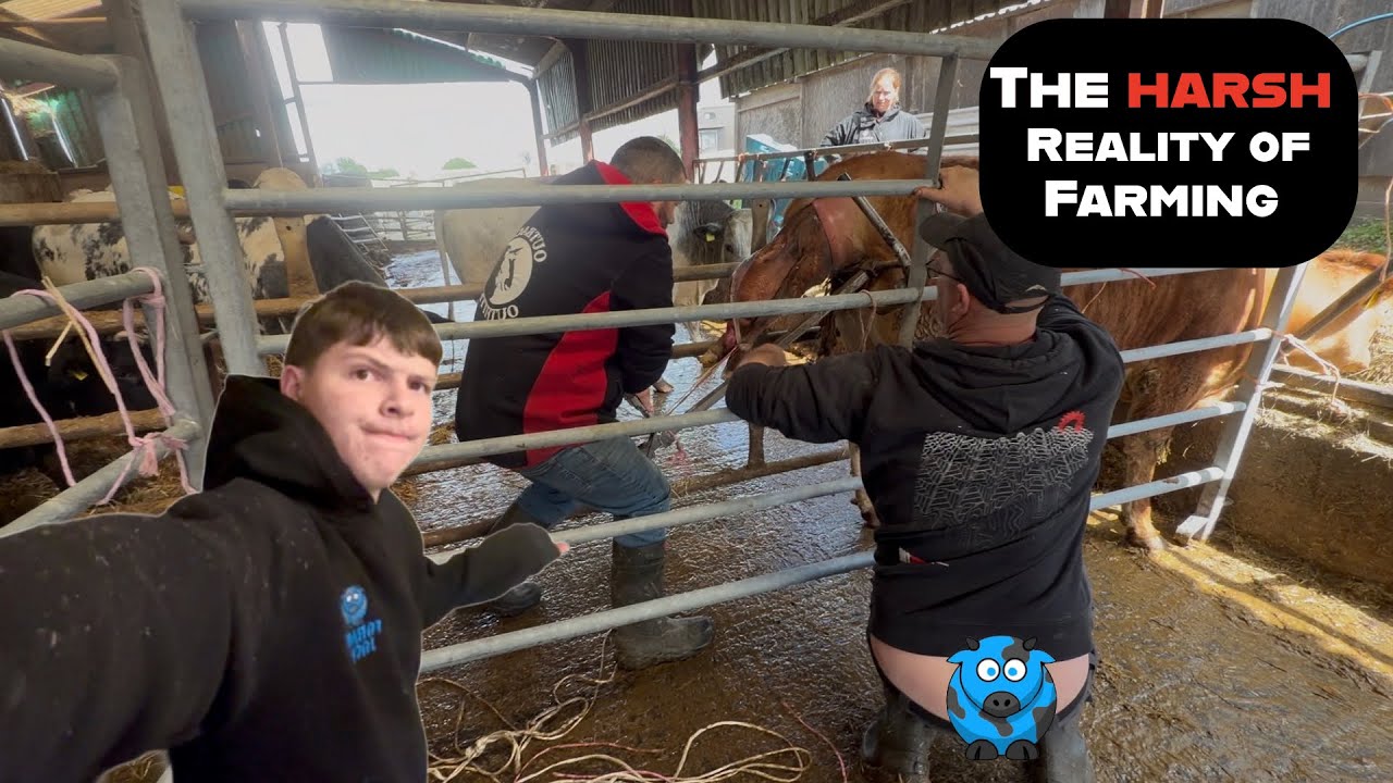 The harsh reality of farming