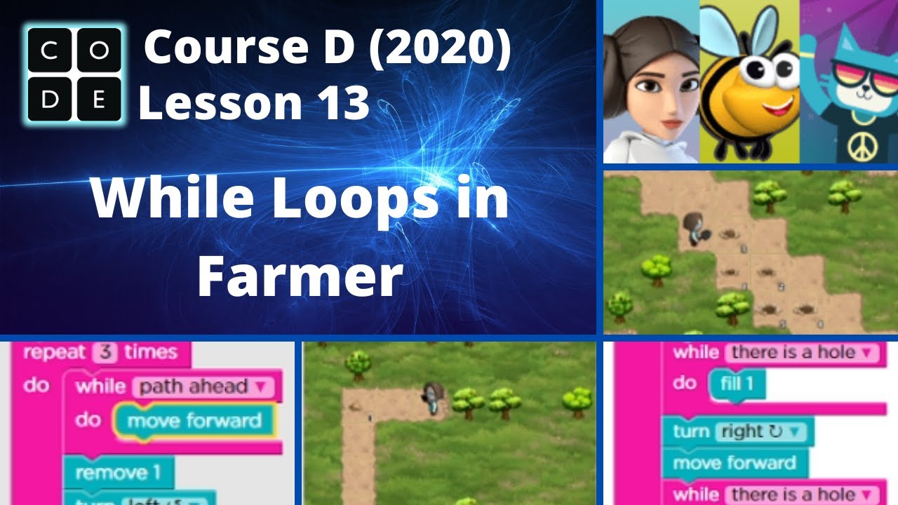 Basic Programming | Code.org | Course D | Lesson 13