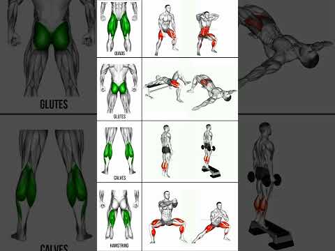 Lower Body Workout at Home || Home Workout 🏋️ 🦵🔥 #workout #legday #homeworkout