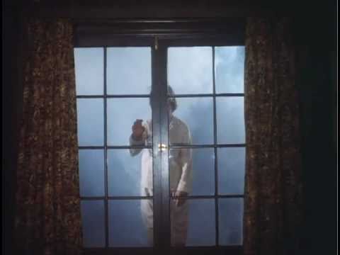 salems lot 1979 window scene