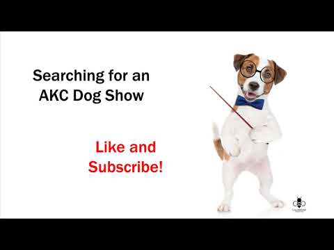 Dog Show 101: Searching For a Dog Show