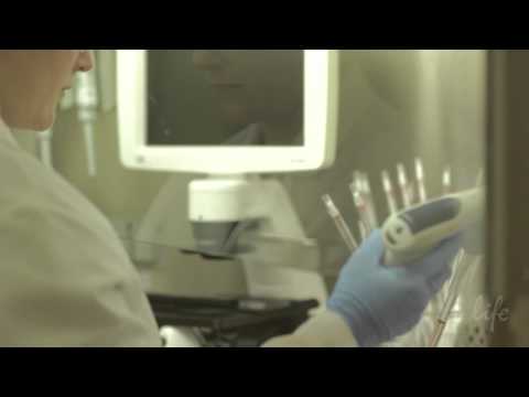 Why We Chose the TaqMan® hPSC Scorecard™ Assay -- Jennifer Moore, RUCDR/Infinite Biologics