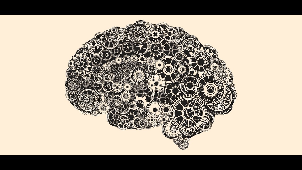 Connecting Every Neuron: The Future of Brain Mapping