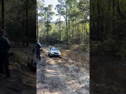 SK Forester Offroad Victoria - Healesville / Chum Creek