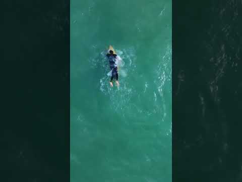 Surfing on Ponta Negra beach in Natal, RN, Brazil