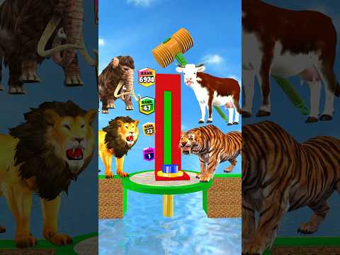 Who Is Stronger? Lion vs Tiger vs Elephant Funny Cartoon 3d Animal Game #shorts #cow #tiger #game