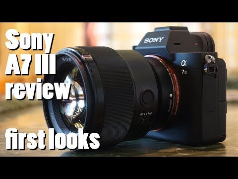 Sony A7 III review: First looks (ILCE7M3B.CEC)