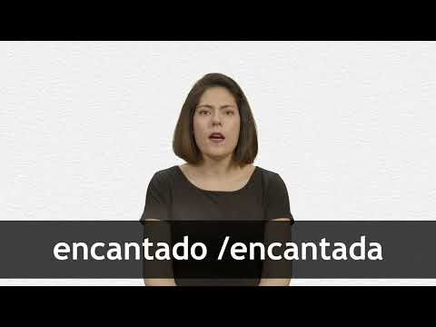 English Translation of “ENCANTADO” | Collins Spanish-English Dictionary