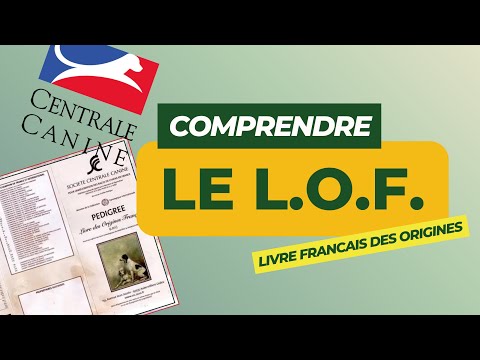 Livre des Origines Françaises (LOF) : tout savoir 📚🐶