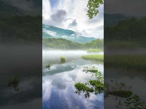 RELAXING MUSIC - JAPAN - Relax with Relaxing Music. #folk #piano #shorts #short #relaxing #music