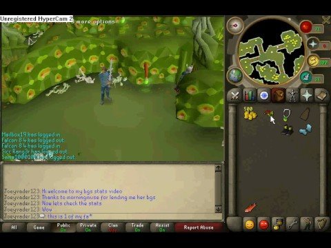 bandos godsword owning