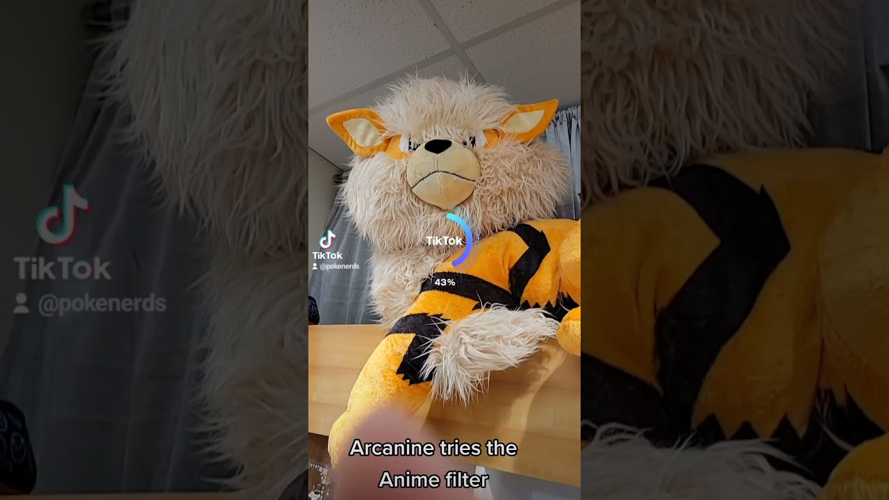 Arcanine tries the Anime filter