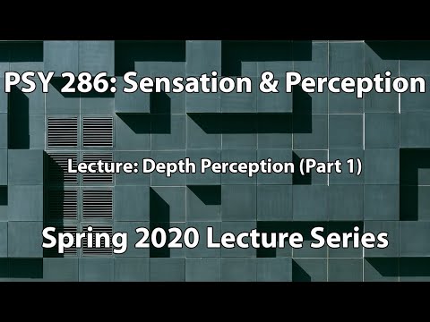 Depth Perception (Part 1) || Sensation & Perception (PSY 286)