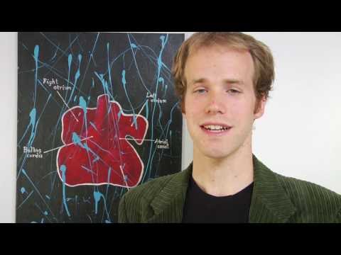 Biology & Organic Chemistry : Why Is Heat a Catalyst?