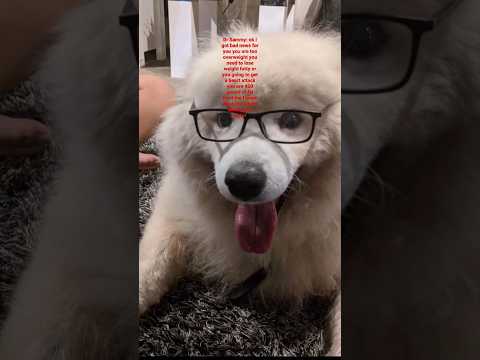 hello I am Dr Sammy how can I help you today