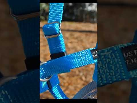 Is This The BEST NoPull Dog Harness for 2 Hounds Freedom?