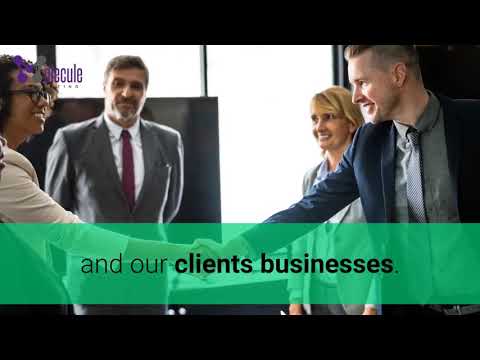Easy Video Maker and Video Marketing Software