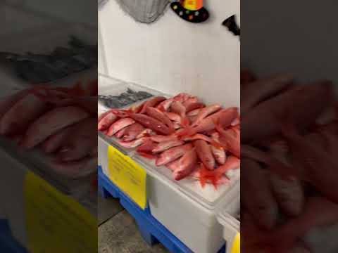 Restaurant Depot#shoppingvlog#walkthrough #2023