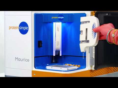 ProteinSimple Maurice