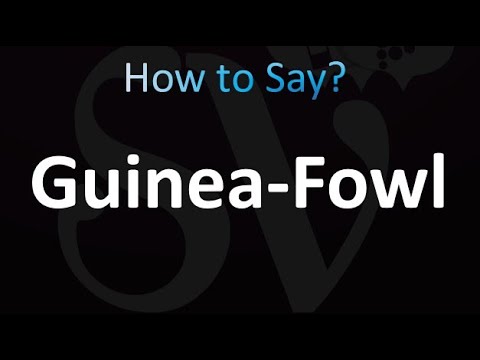 How to Pronounce Guinea-Fowl
