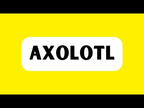 How to Pronounce Axolotl (Correctly)