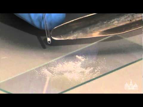 iLabs - Melting Point