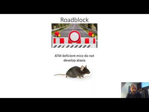 A Novel Mouse Model of Ataxia Telangiectasia for Testing Small Molecule Readthrough (SMRT) Compounds