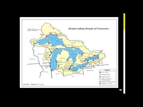PCBs in Chicago: Sources, Transport, Fate, Exposure, and Policies