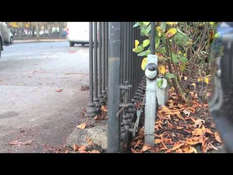 Domestic Automation - Underground and sliding gate motors with remote control for domestic use.