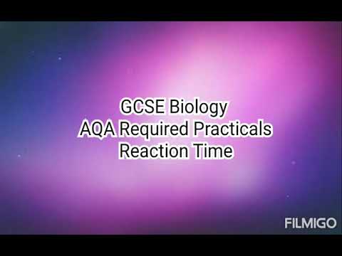 Reaction Time. GCSE Biology. Paper 2. AQA Required Practical.