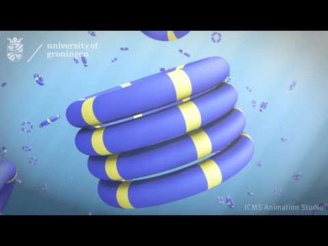 Self Replication: How molecules can make copies of themselves