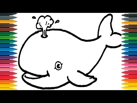 Coloring Pages Whale Drawing Pages To Color For Kids Colors Picture Coloring Book Fun Painting